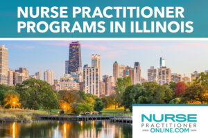 2026 Best Online Nurse Practitioner Programs in Illinois ...