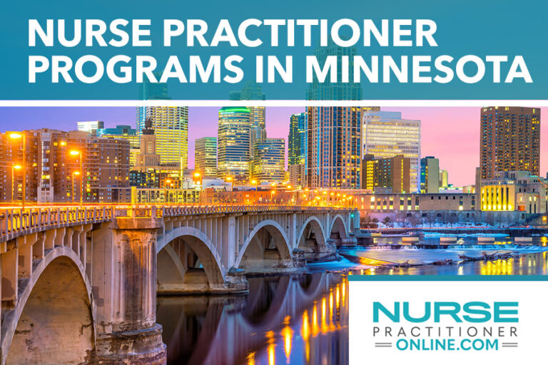 2026 Best Online Nurse Practitioner Programs in Minnesota ...