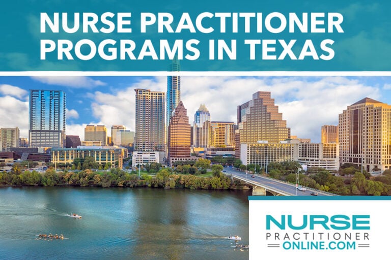 2026 Best Online Nurse Practitioner Programs in Texas | NursePractitionerOnline.com
