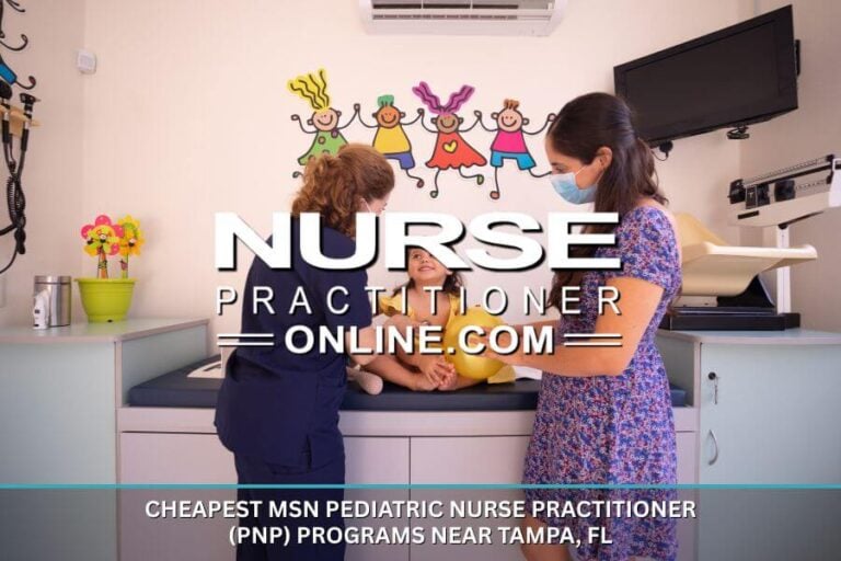 Affordable MSN PNP Programs near Tampa, FL | NursePractitionerOnline.com