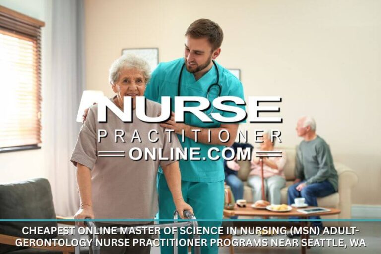 Affordable Online MSN AGNP Programs near Seattle, WA ...