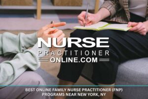 Online FNP Programs near New York, NY – Flexible & Accredited ...