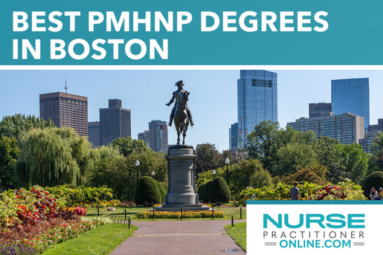 Best PMHNP Programs in Boston, MA: Degrees, Clinicals, Certification ...