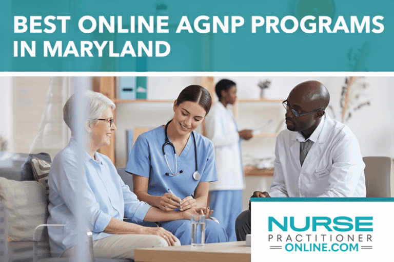 Best Online Adult-Gerontology NP Programs in Maryland (MSN, DNP, Post ...