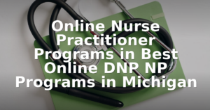 Best Online DNP NP Programs in Michigan (2026 Rankings ...