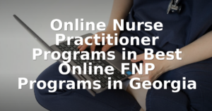 Best Online FNP Programs in Georgia (2026 Rankings ...