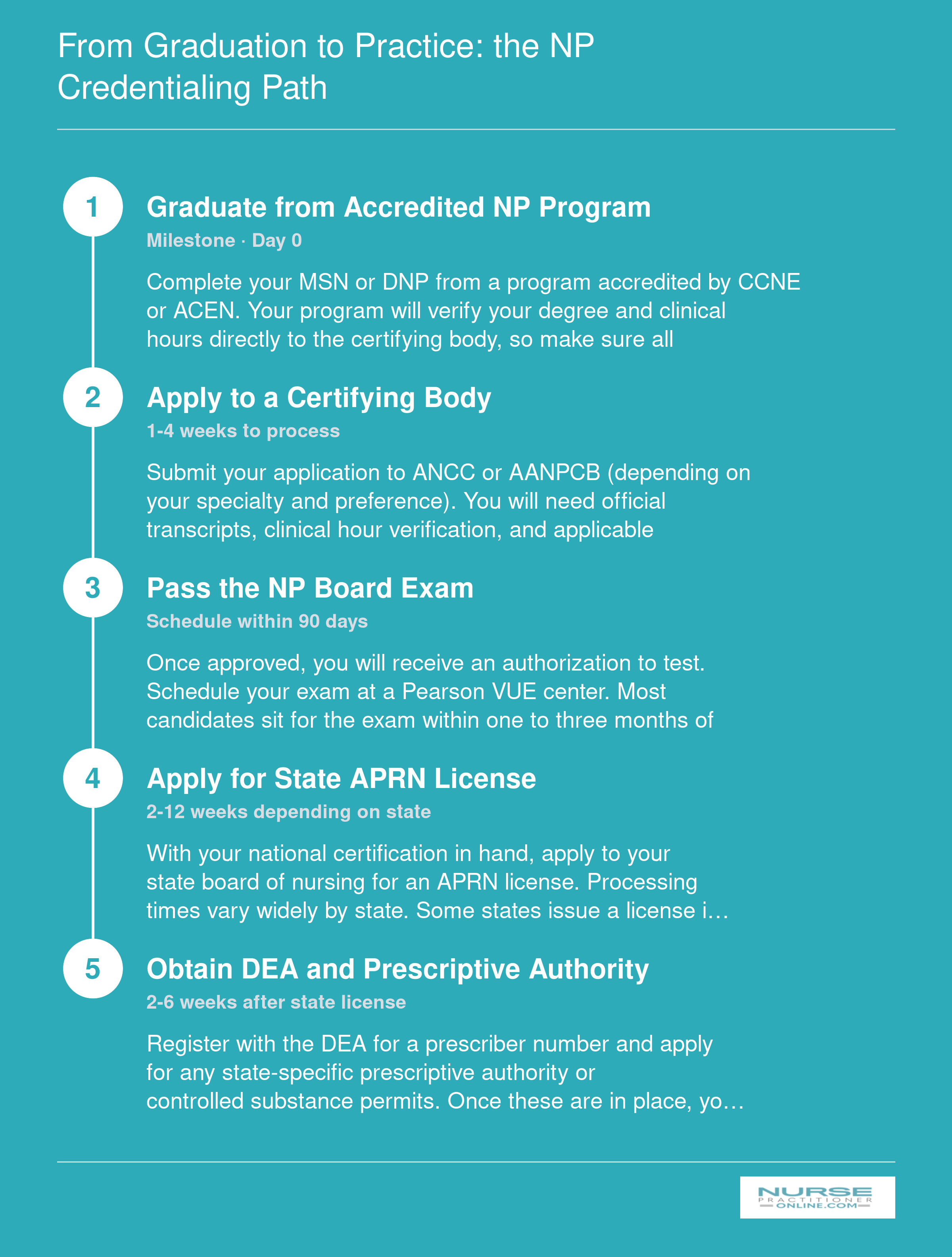 NP Certification Exams: Options, Requirements & Costs (2026 ...